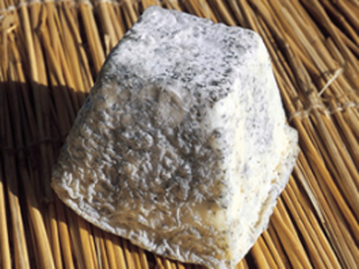 Liste des fromages de chèvre français les plus célèbres | Soignon